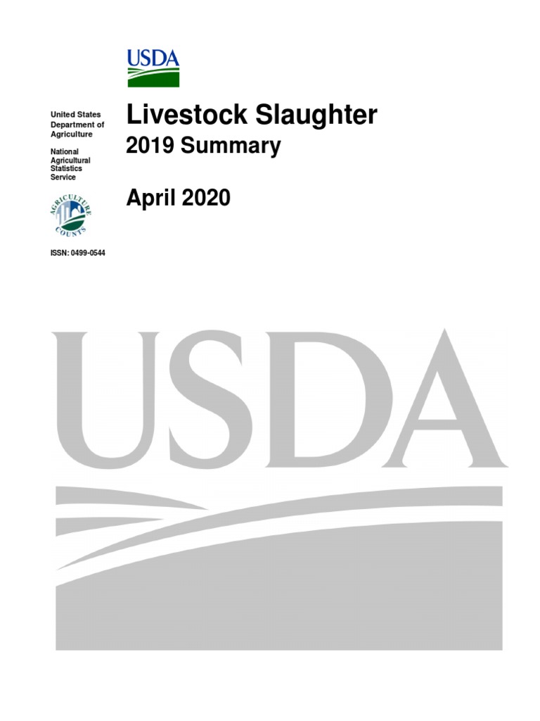 USDA Livestock Slaughter 2019 | PDF | Animal Slaughter | Cattle