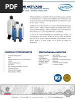 Triptico Aesp Laila Villegas | PDF | Seguridad del paciente | Medicina CLINICA