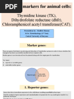Transgenic Fly Lab Worksheet Student | PDF | Promoter (Genetics ...