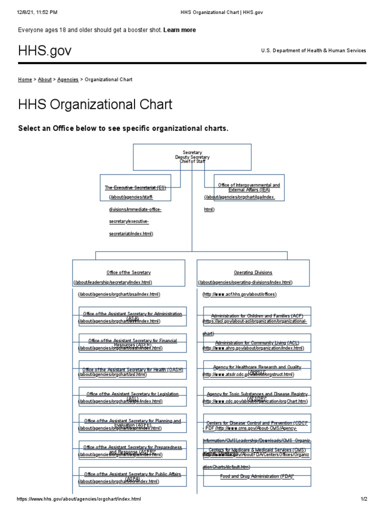Hhs Organizational Chart Hhs | PDF | United States Department Of Health ...