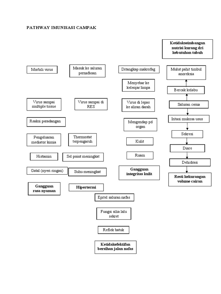Pathway Campak | PDF