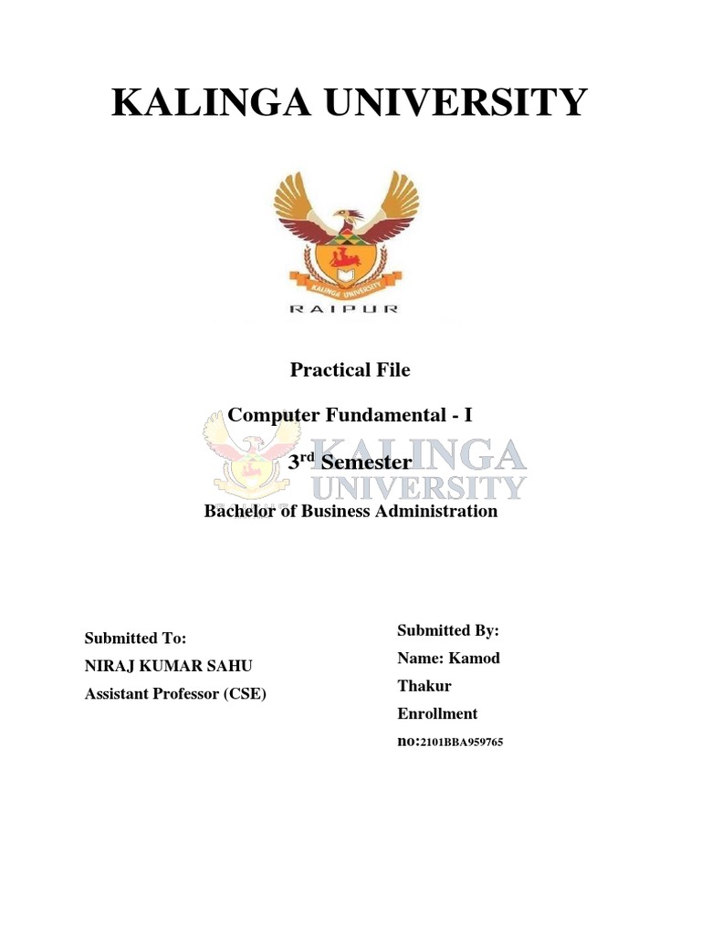Computer Fundamental - I Practical File | PDF | Trigonometric Functions ...