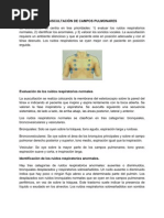 Perímetro Torácico | PDF | Salud y bienestar | Ciencia y matemáticas