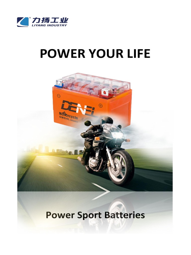 Liyang Industry Introduction | PDF | Rechargeable Battery | Battery Charger
