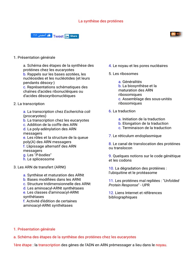 Tweet: La Synthèse Des Protéines | PDF | Acide ribonucléique messager ...