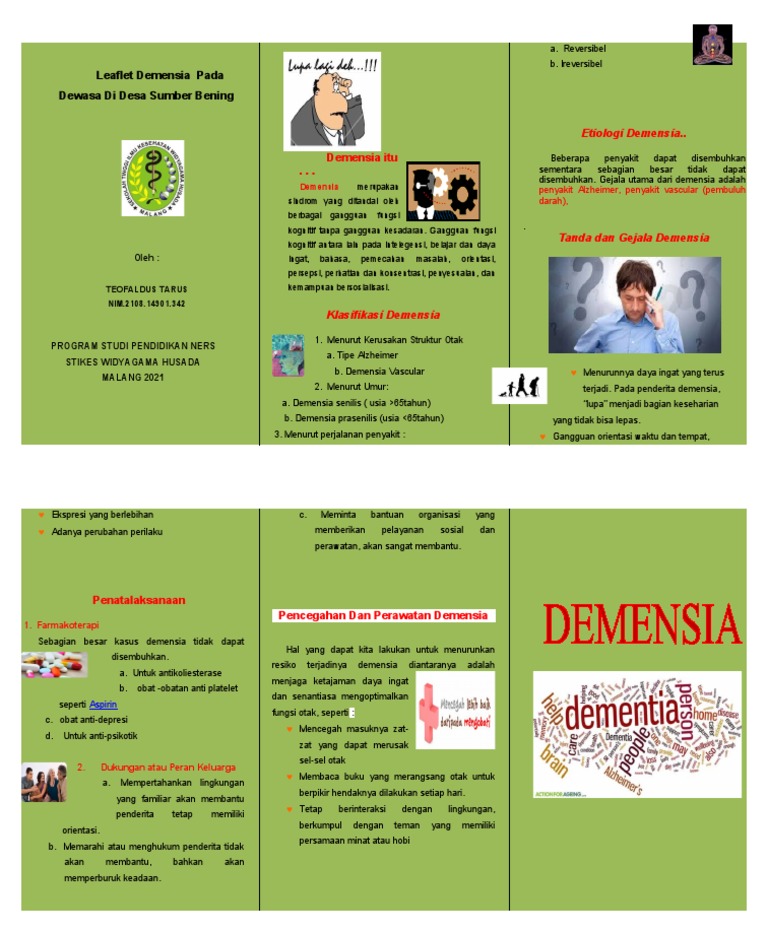 Leaflet Demensia | PDF