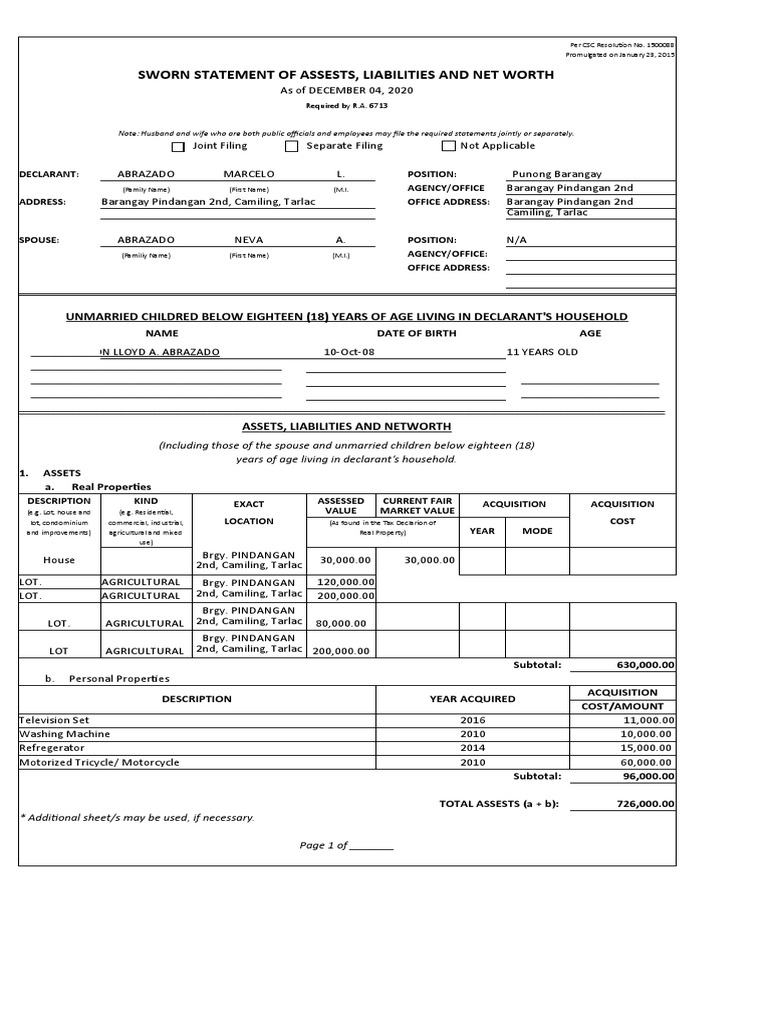 Sworn Statement of Assests, Liabilities and Net Worth | PDF | Economies ...