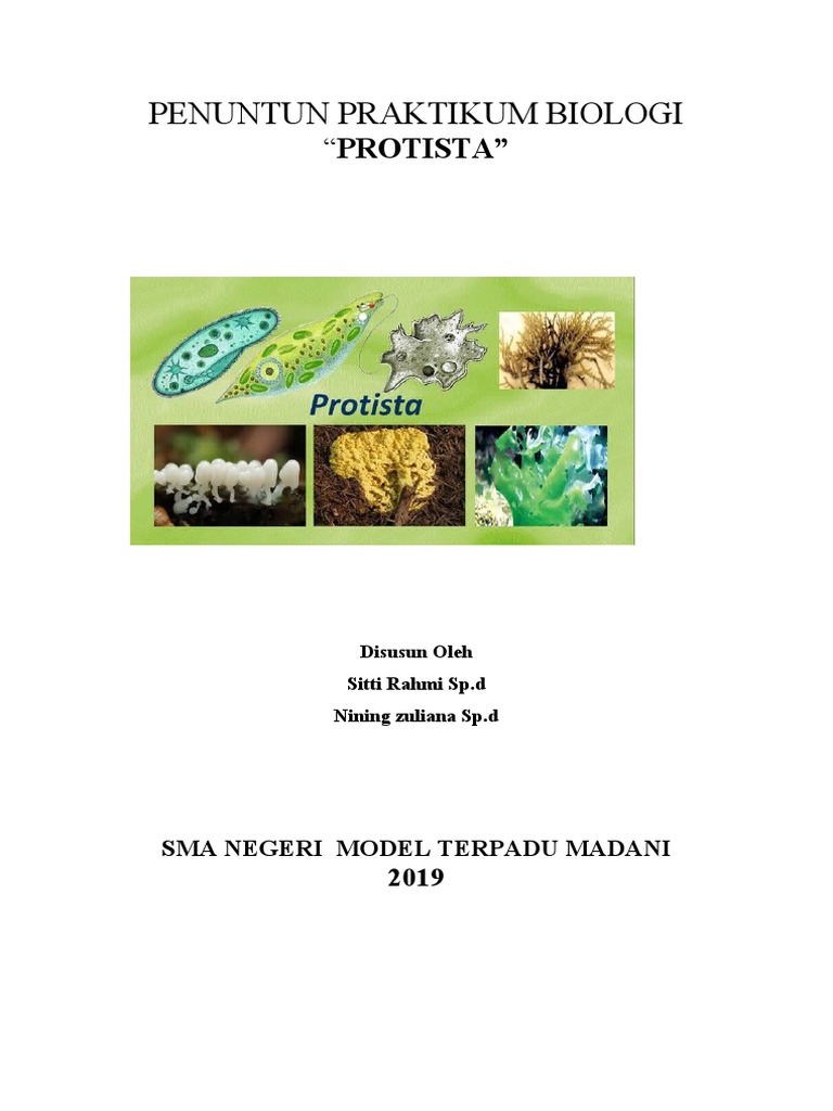 Panduan Praktikum Protista yang Mengulas Tentang Ciri-Ciri dan Jenis-Jenis Protista | PDF
