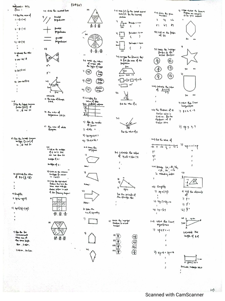 F1 Maths Set 30. | PDF