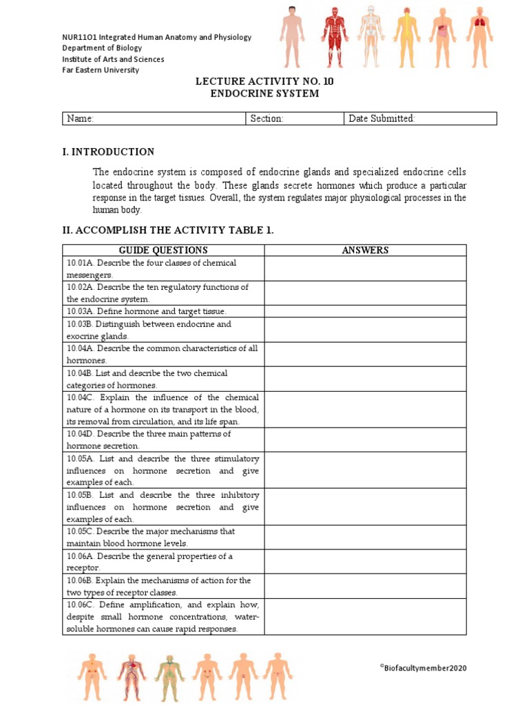 Lec Activity10 Endocrine System | PDF | Endocrine System | Hormone