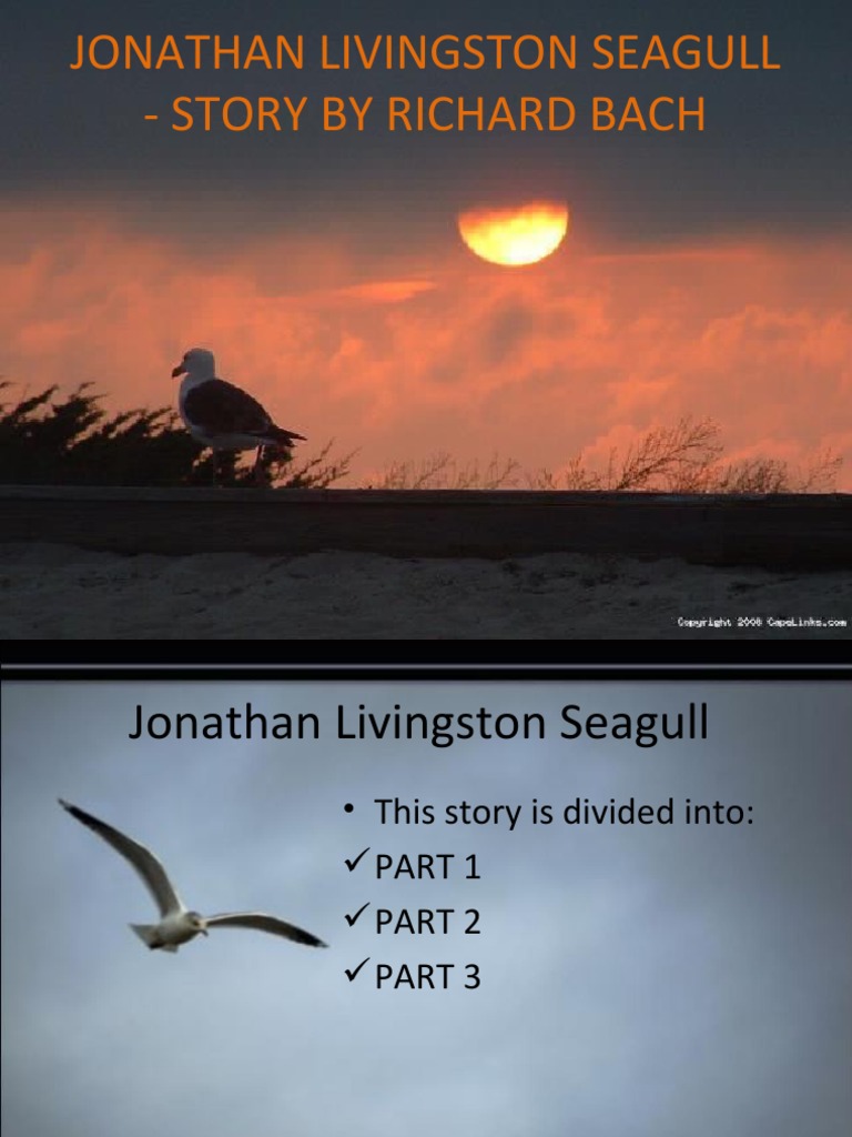 Jonathan Livingston Seagull - Story by Richard Bach | PDF