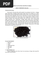 Kel1 - Konsep Dasar Racun Dan Klasifikasi Beserta Contoh | PDF