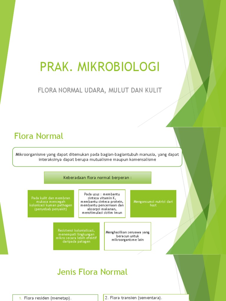 Praktikum Flora Normal Tubuh Manusia | PDF