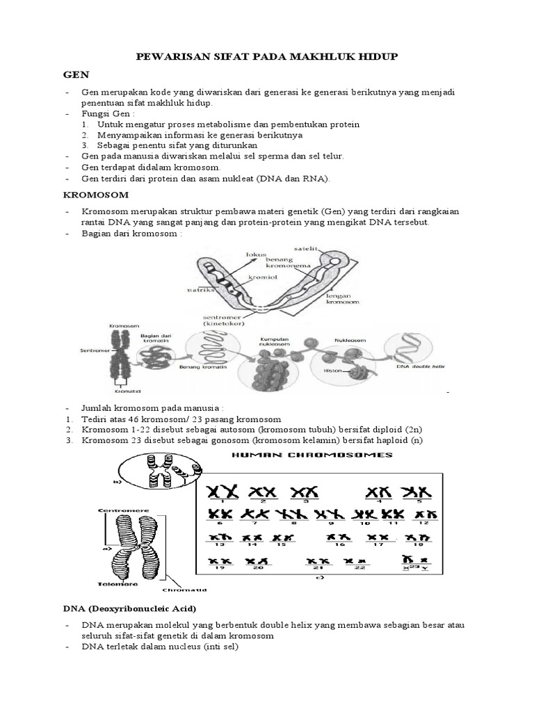 Pewarisan Sifat Pada Makhluk Hidup | PDF