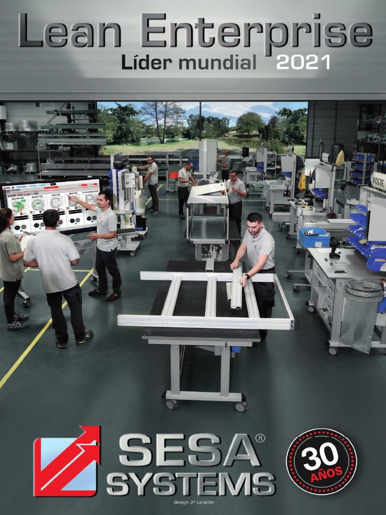 Sesa Systems 2021 | PDF | Business