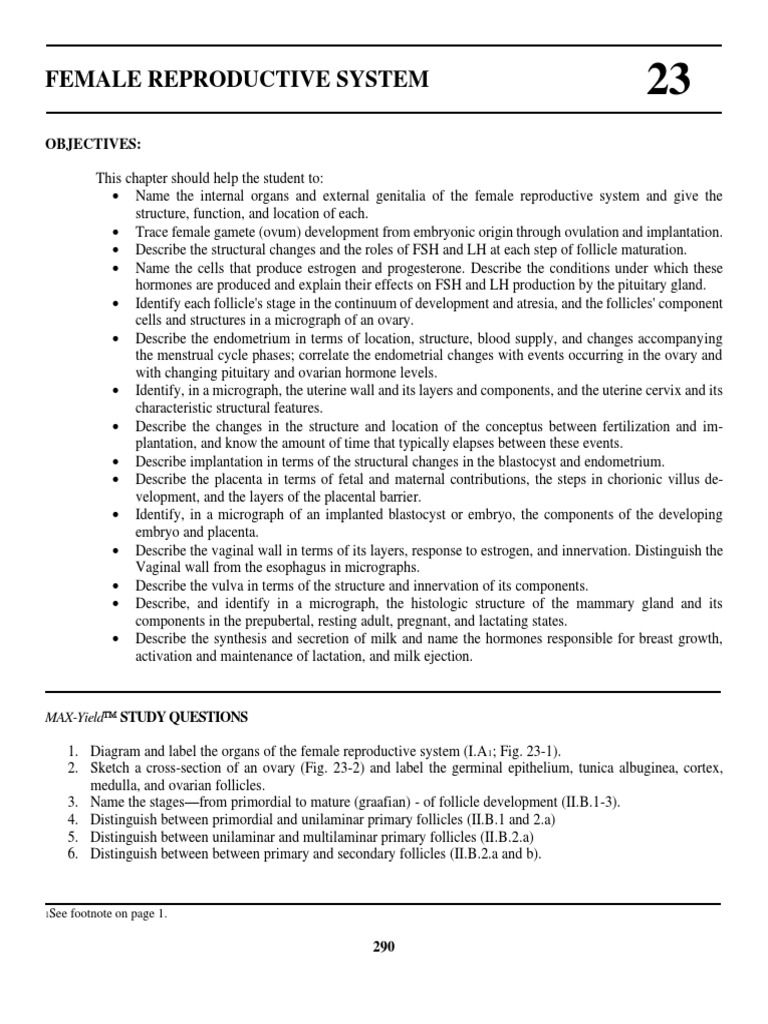 CHAPTER 23 Female Reproductive System | PDF | Menstrual Cycle ...