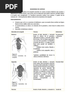 Regla de McDonald y Johnson en Obstetricia | PDF
