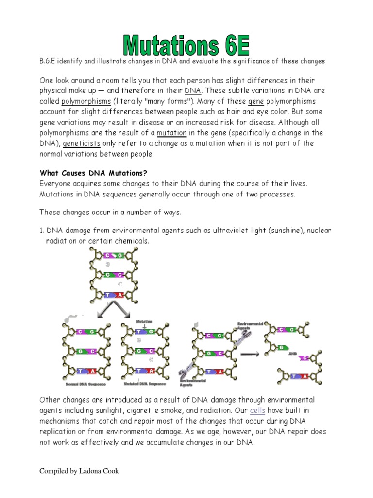What Causes DNA Mutations?: B.6.E Identify and Illustrate Changes in ...