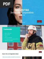 Guía de Servicios de Vigilancia | PDF