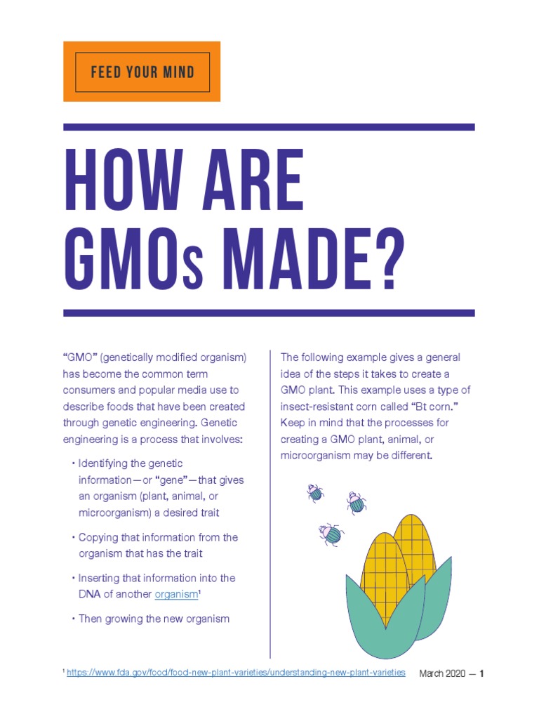 Agricultural Biotechnology - How Are GMOs Made | PDF | Genetically ...