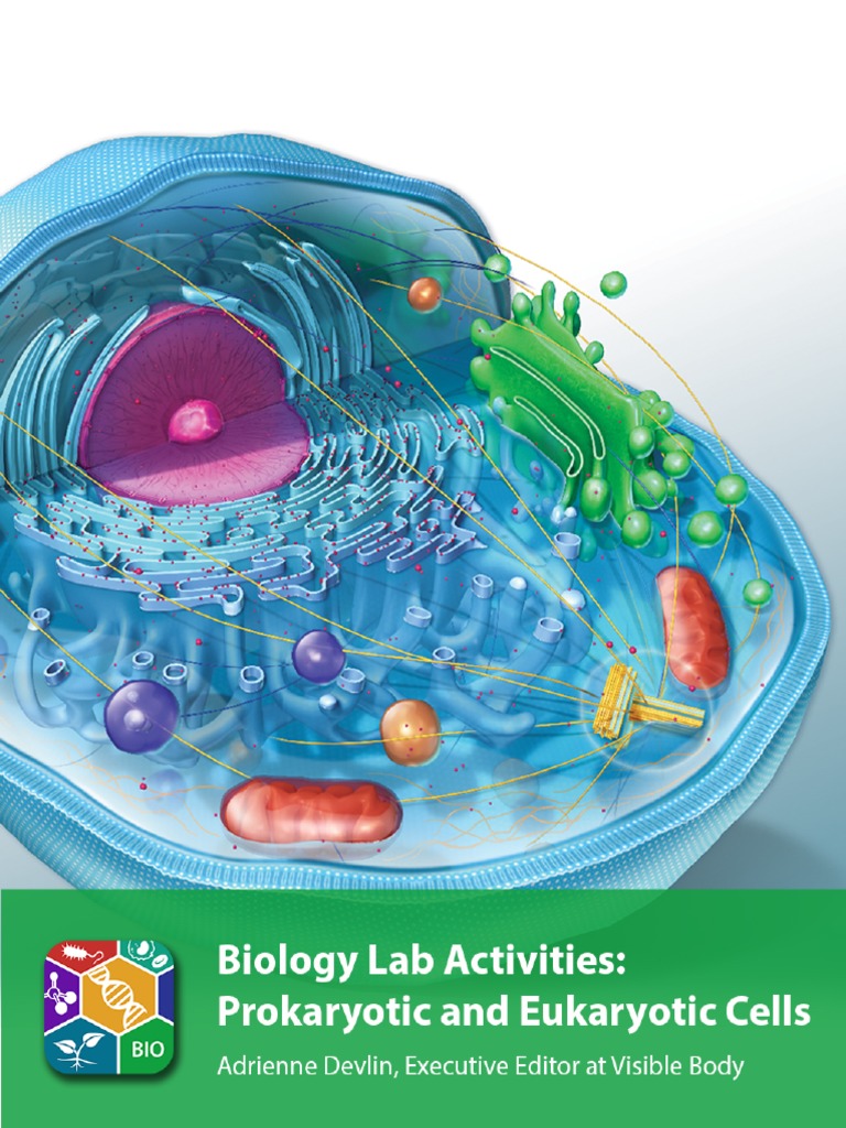 Biology Lab: Cell Structures Comparison | PDF | Cell (Biology) | Bacteria