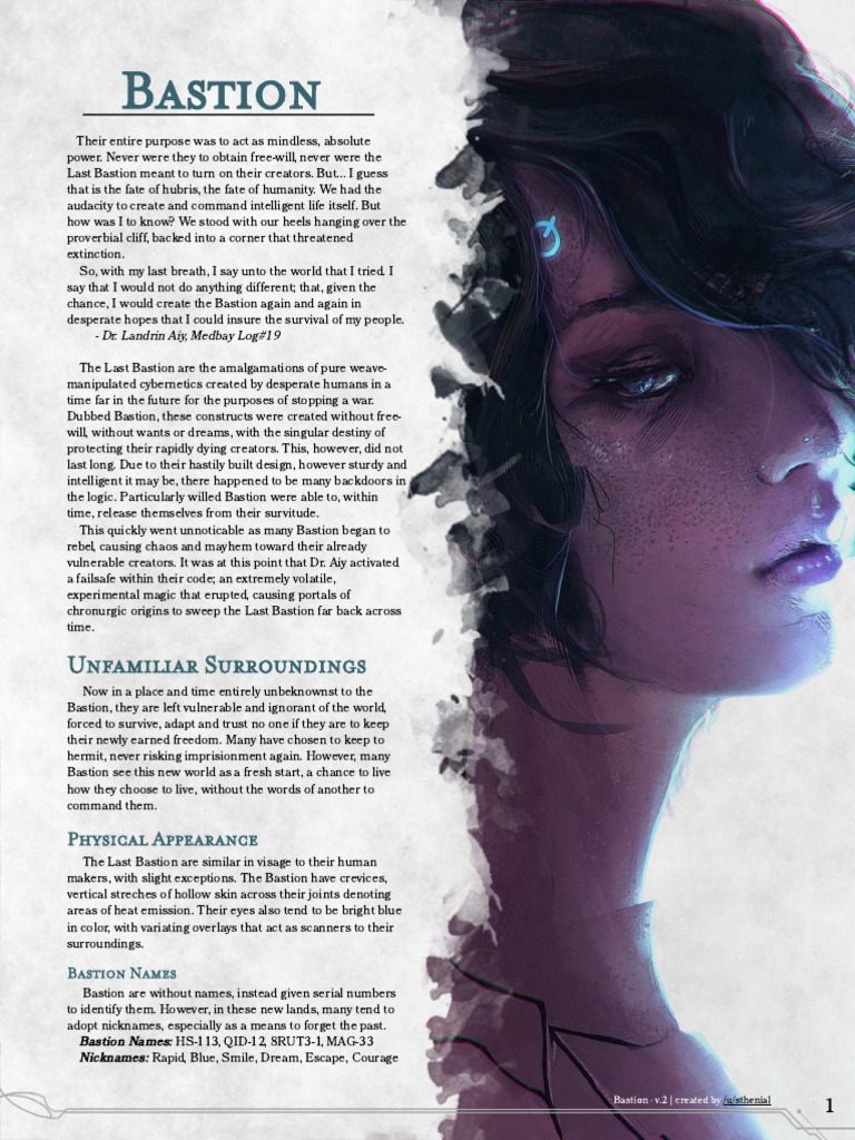 Bastion v.2 | PDF