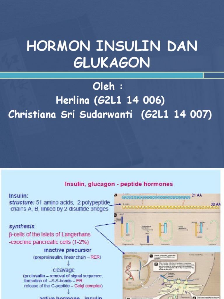 Sintesis dan Fungsi Insulin-Glukagon | PDF | Pengembangan Diri | Sains ...