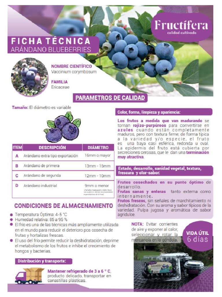 Ficha Tecnica Arandanos Fructifera 2020 | PDF