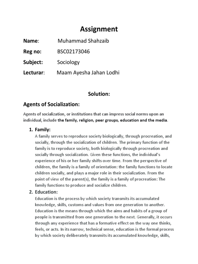 Assignment Sociology | PDF | Socialization | Family