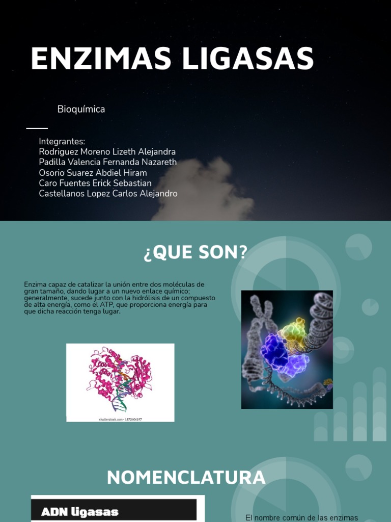 LIGASA | PDF | Adn Ligase | Adn