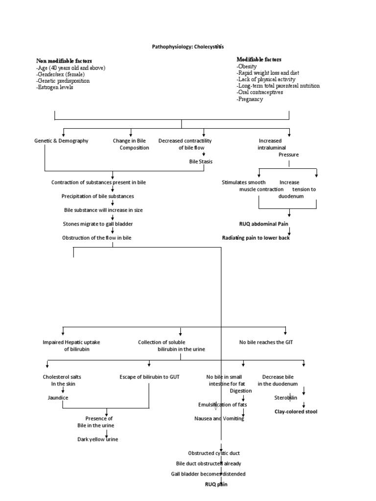 Cholecystitis Pathophysiology | PDF | Gallbladder | Bile