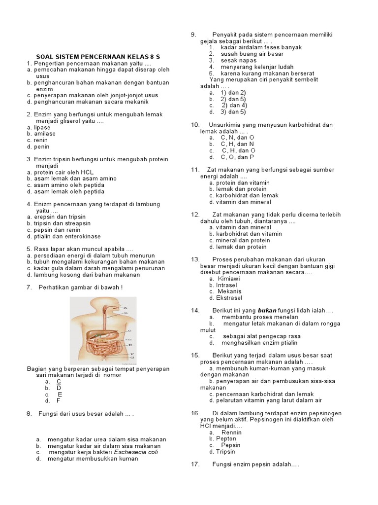 Soal Sistem Pencernaan Kelas 8 SMP | PDF