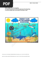 FINAL - CSEC Biology Lab Manual 2022-2024 STUDENT VERSION | PDF ...