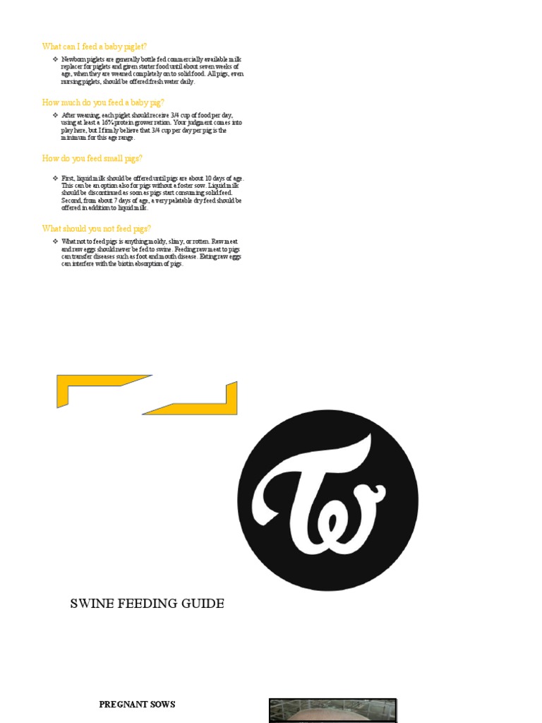 Swine Feeding Guide | PDF | Domestic Pig | Pig