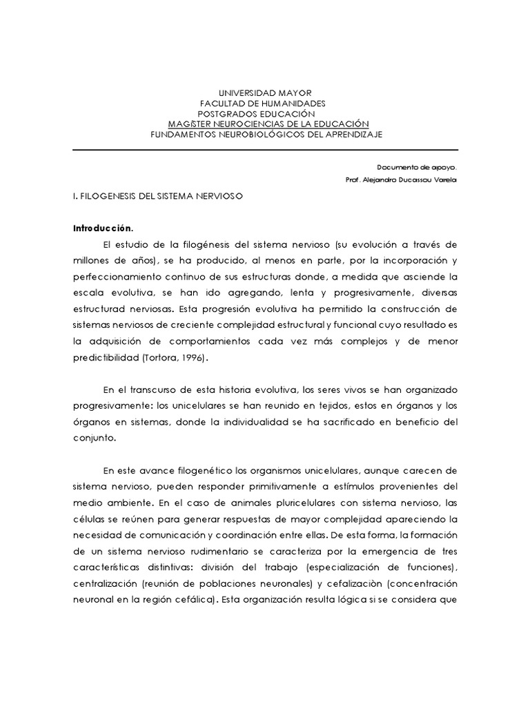 Filogenesis Del Sistema Nervioso | Descargar gratis PDF | Evolución ...
