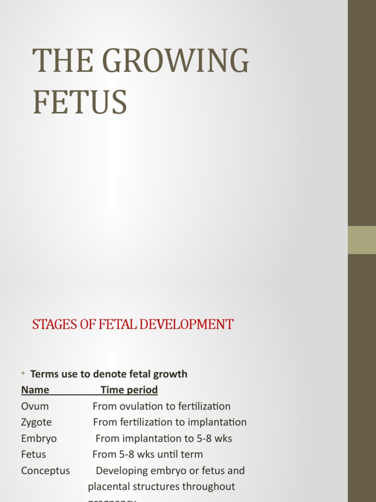 The Growing Fetus | PDF | Implantation (Human Embryo) | Placenta