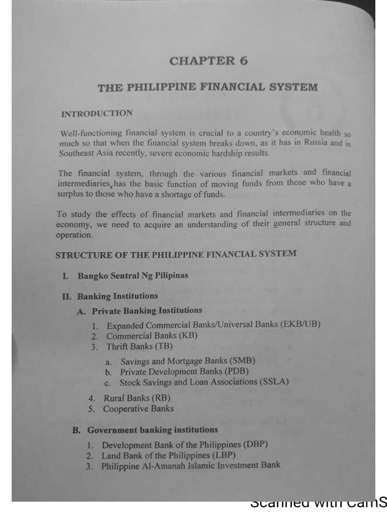 Chapter 6 - The Philippine Financial System | PDF