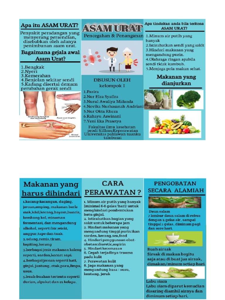 Leaflet Asam Urat | PDF