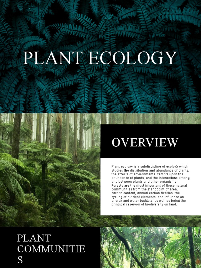 Plant Ecology | PDF | Plants | Ecology