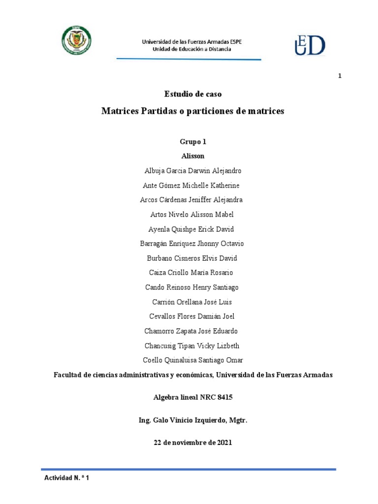 Matrices Particionadas | PDF | Matriz (Matemáticas) | Determinante