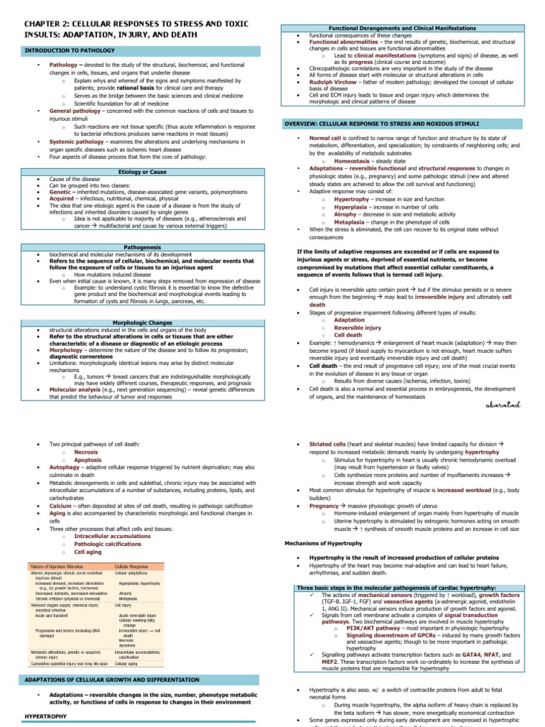 Robbins Pathology - Chapter 2 Trans | PDF | Epithelium | Necrosis