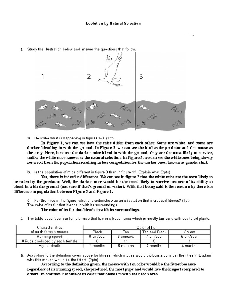 Evolution by Natural Selection | Descargar gratis PDF | Mouse | Evolution