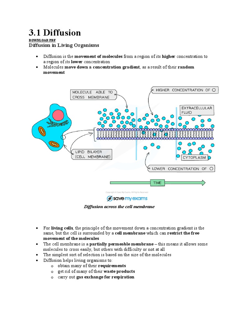 3.1 Diffusion: Diffusion in Living Organisms | Download Free PDF ...