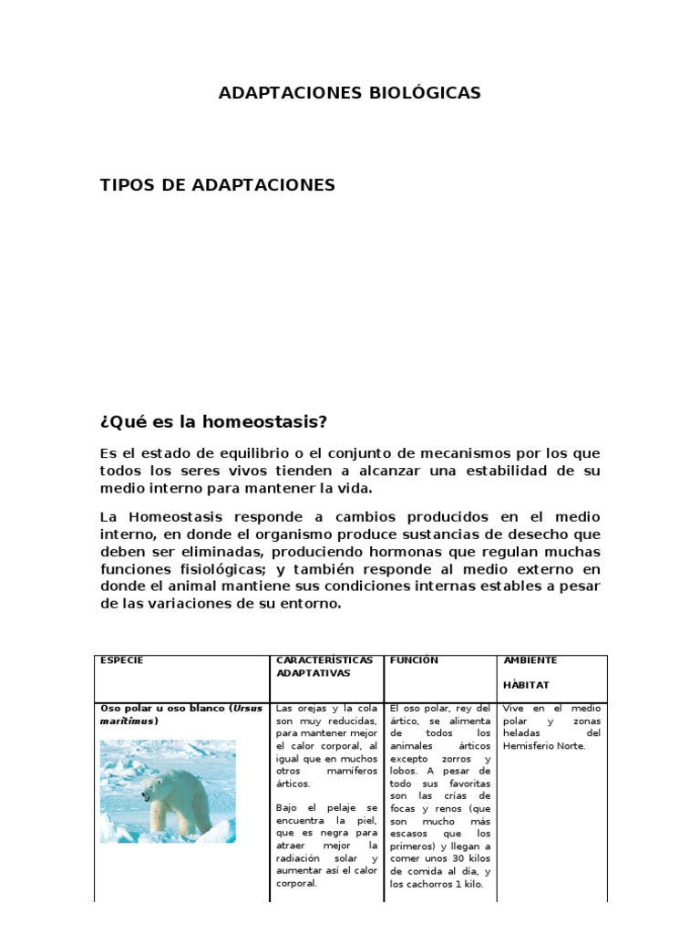 Adaptaciones Biológicas | PDF | Camello | Musgo