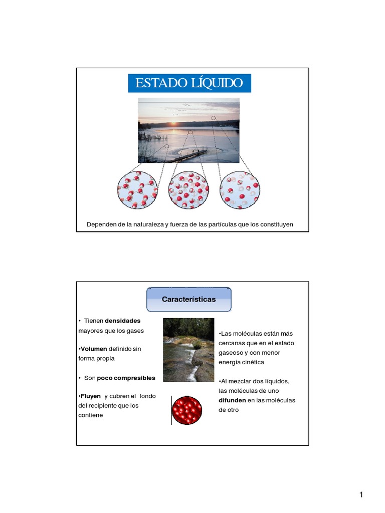 Propiedades y Comportamiento de Líquidos | PDF | Líquidos | Solvente