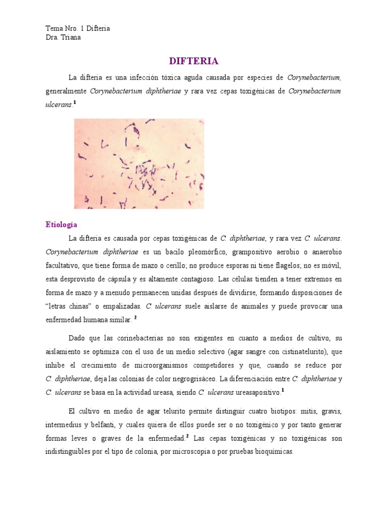 Tema 4 DIFTERIA | PDF | Especialidades Medicas | Medicina CLINICA