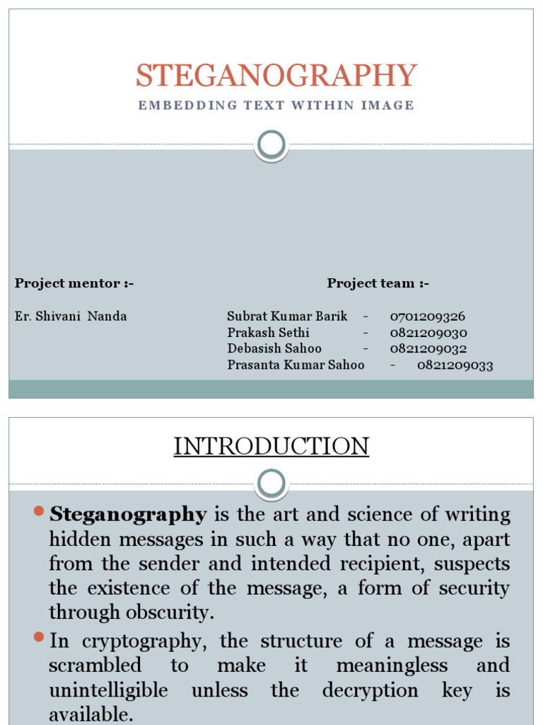 Steganography: Embedding Text Within Image | PDF | Secure Communication | Information Age