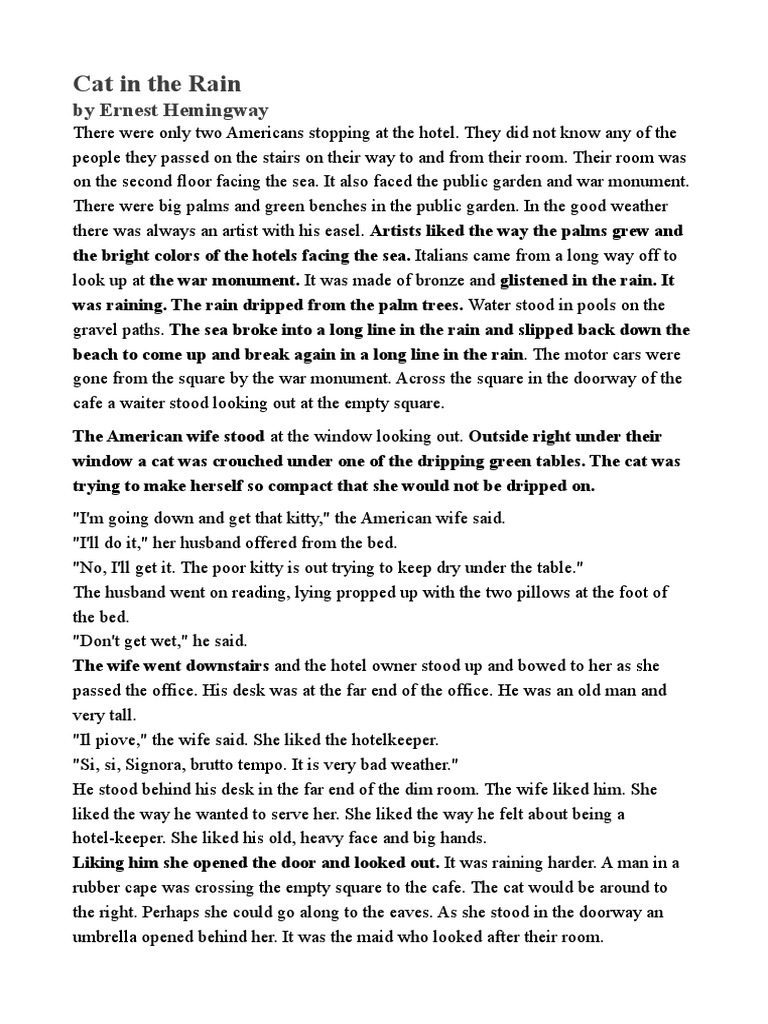 Cat in The Rain by Ernest Hemingway | PDF