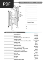 Anatomical Terminology Worksheet | PDF | Anatomical Terms Of Location ...