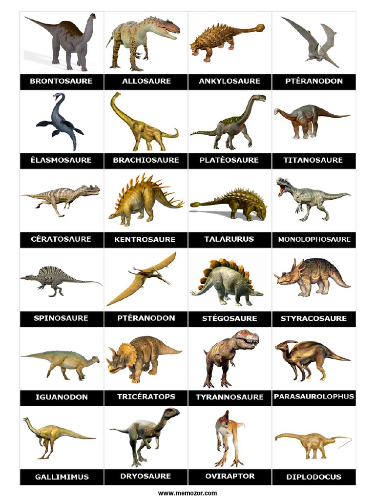 Jeu Memory A Imprimer Pour Enfants Dinosaures | PDF